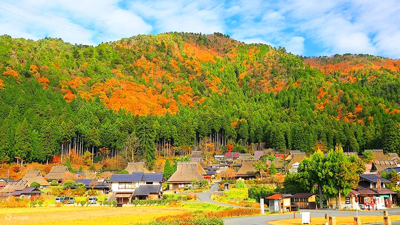 Miyama Thatched Village & Katsuoji Temple & Arashiyama Bamboo Forest ...