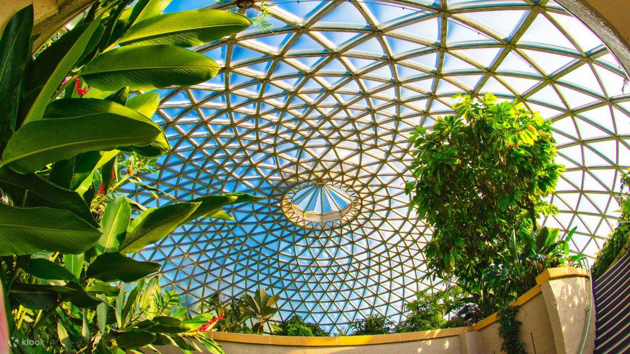 Half Day Brisbane Sightseeing Tour - Klook