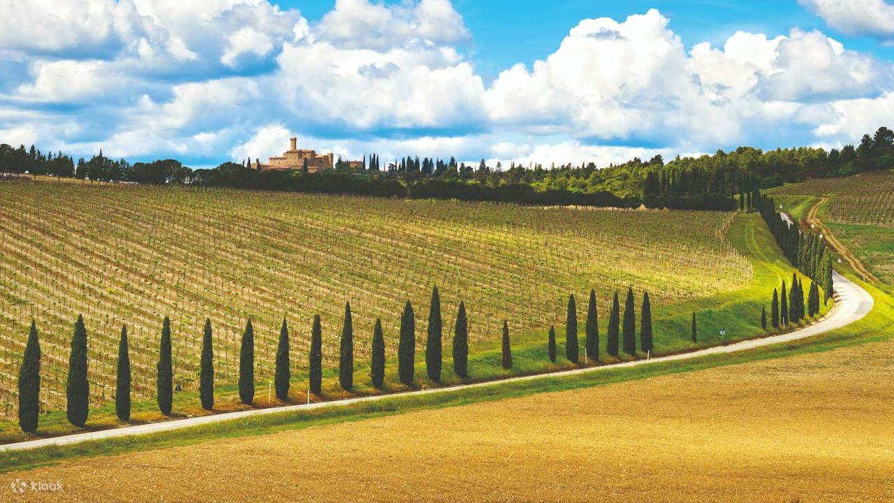 Tour Siena, San Gimignano và Pisa kèm nếm rượu vang từ Florence - Klook ...