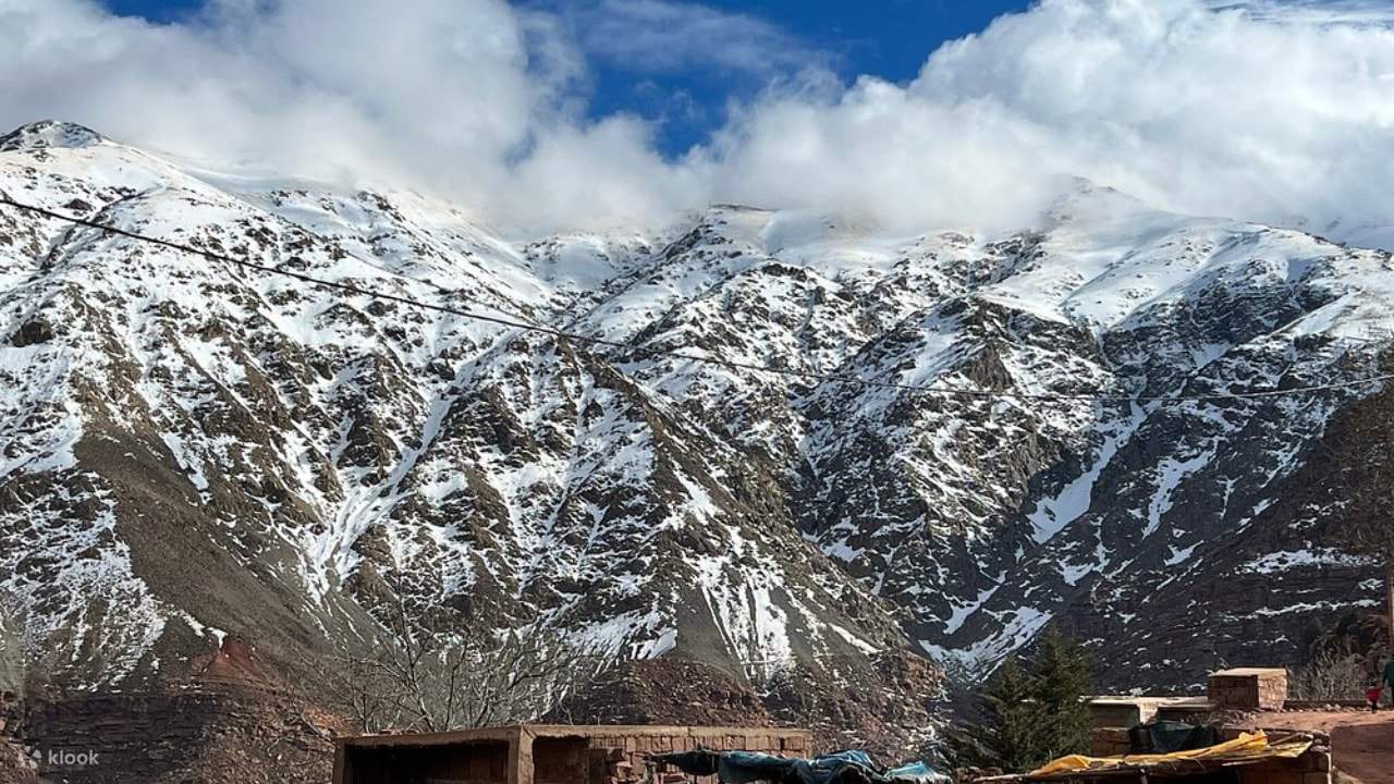 Da Marrakech: gita di un giorno alla valle dell'Ourika sui monti Atlas ...