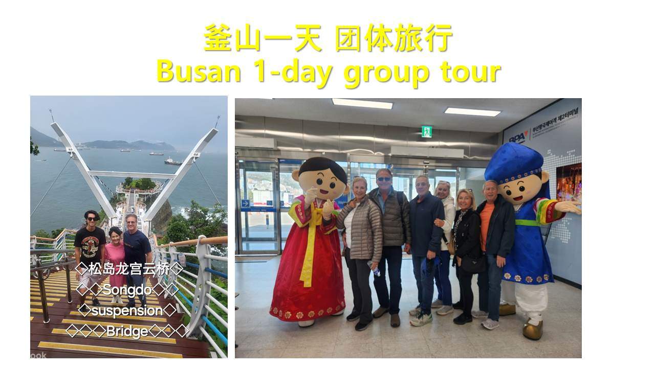 Busan oneday group tour - Klook