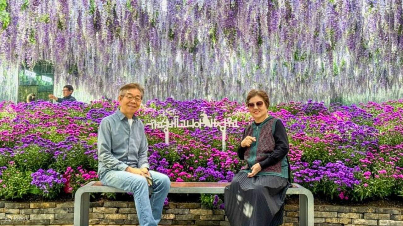 Eden Cherry Blossom Road x AQUAFIELD Jjimjilbang x Begonia Bird Park - Klook