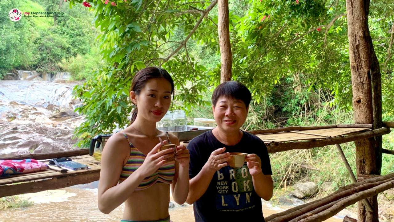 Chiang Mai Elephant Observation & Doi Inthanon Hiking - Klook United Kingdom