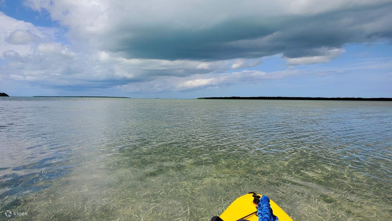 Everglades National Park Kayaking and Nature Walk with a Naturalist ...
