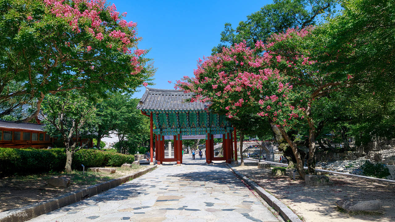 Busan: Ice Valley Cable Car & UNESCO Nature Discovery Tour - Klook ...