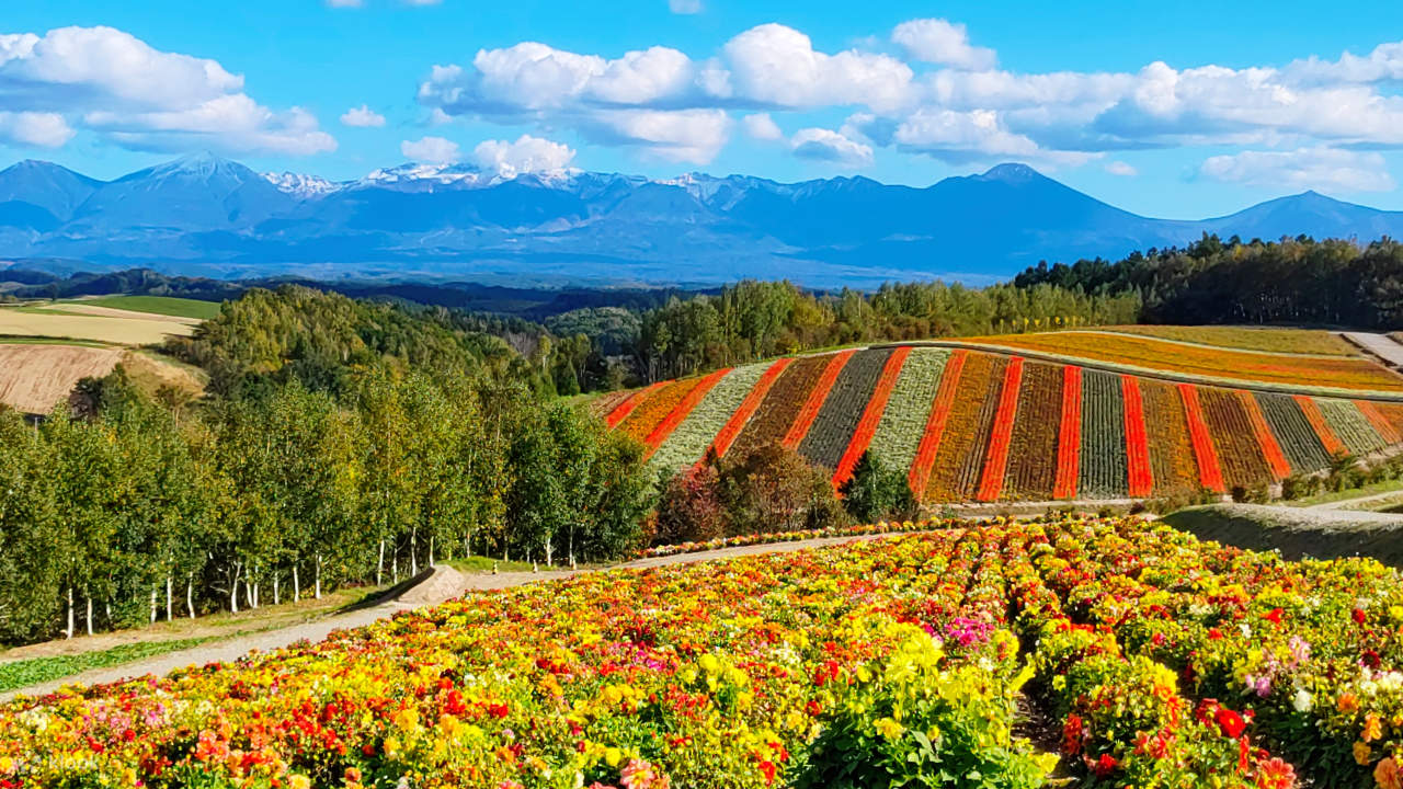 Sapporo Car Rental with Driver to Jozankei/Otaru/Lake Toya/Lake ...