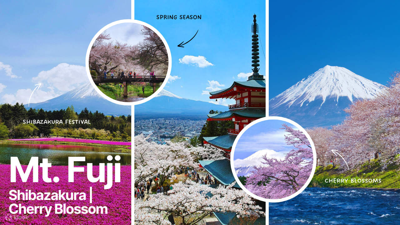 Mt. Fuji Private Customizable One Day Trip from Tokyo - Klook Singapore