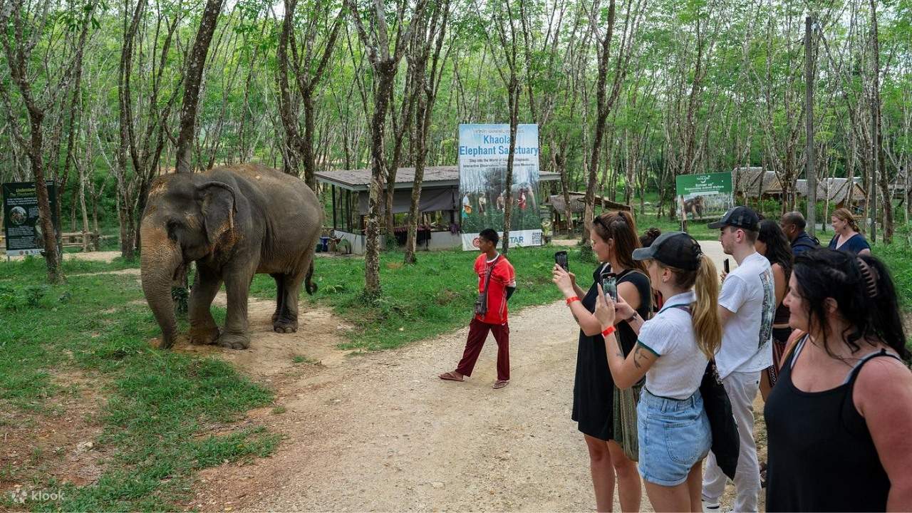 Khao Lak ATV, Elephant Sanctuary, and Water Fun Day Tour - Klook United ...