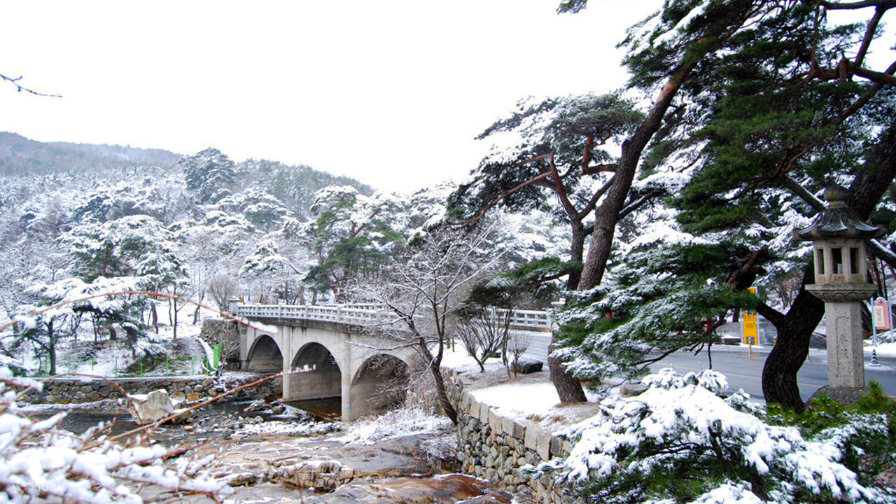Busan: Snow Season Ice Valley Cable Car & UNESCO Spot Discovery Tour ...