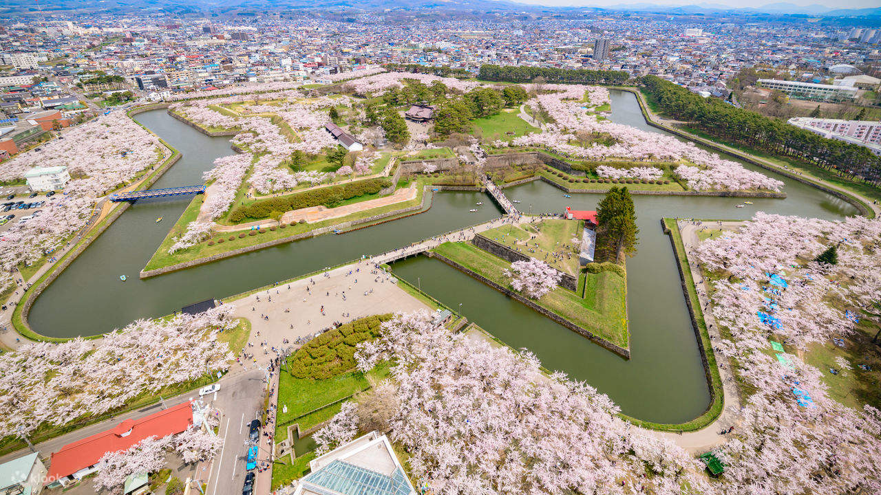Hokkaido Hakodate Matsumae Castle + Goryokaku + Seagull Island Cherry ...