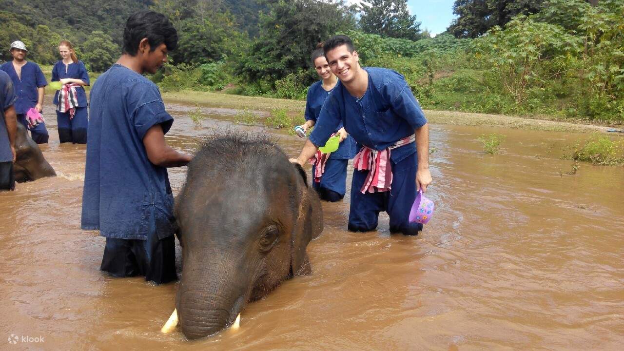 Sanctuaire des éléphants, tribu Long Neck 5 et aventure à Chiang Mai ...