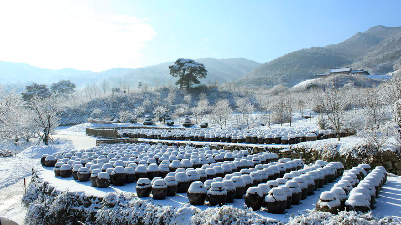 Busan: Snow Season Ice Valley Cable Car & UNESCO Spot Discovery Tour ...