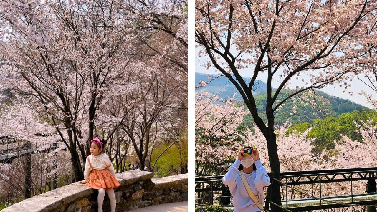 Hwadamsup & Luge & Korean Folk Village One Day Tour from Seoul - Klook ...