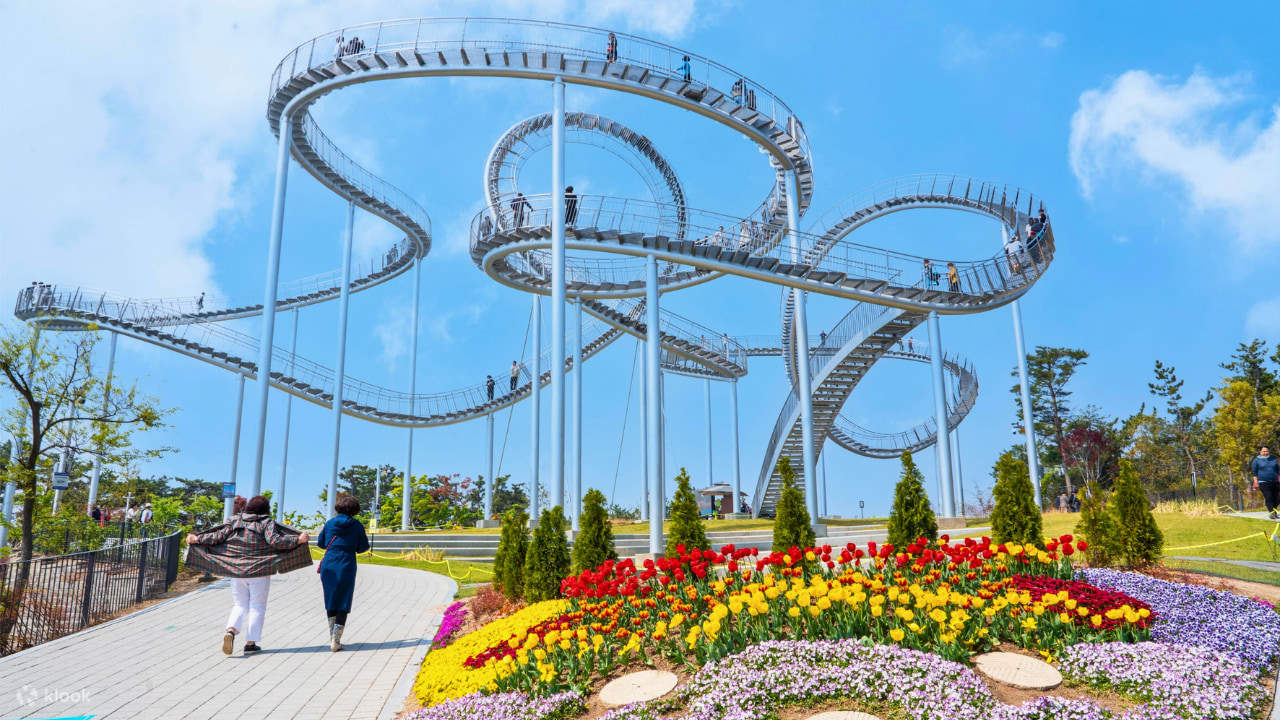 Pohang Space Walk x Cherry Blossom, Guryongpo, Homigot Canola Flower ...