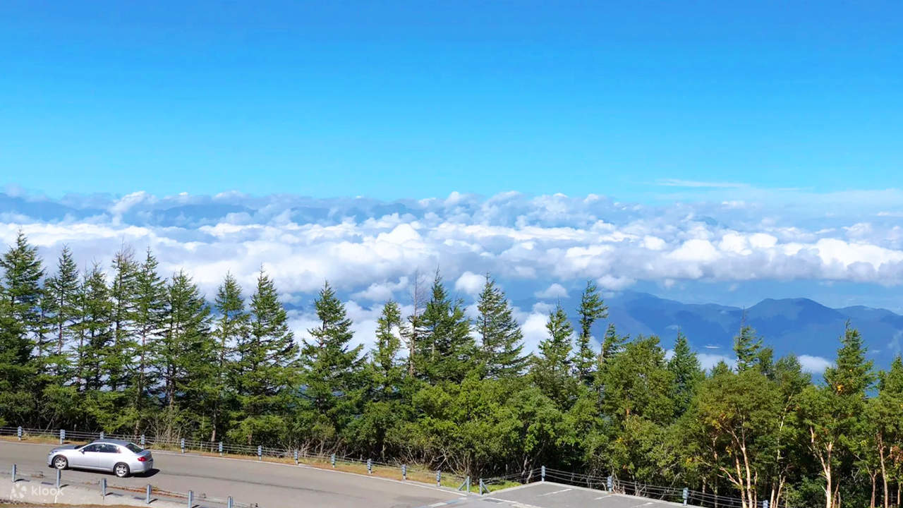 Mt. Fuji 5th Station & Hakone Owakudani & Ropeway + Pirate Ship Dual ...