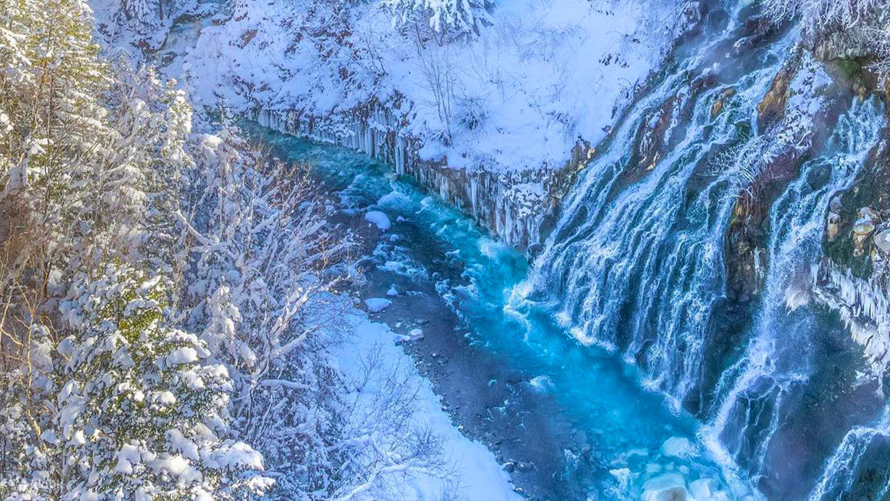 Blue Pond Illumination & Ningle Terrace & Shikisai-no-oka & Christmas ...