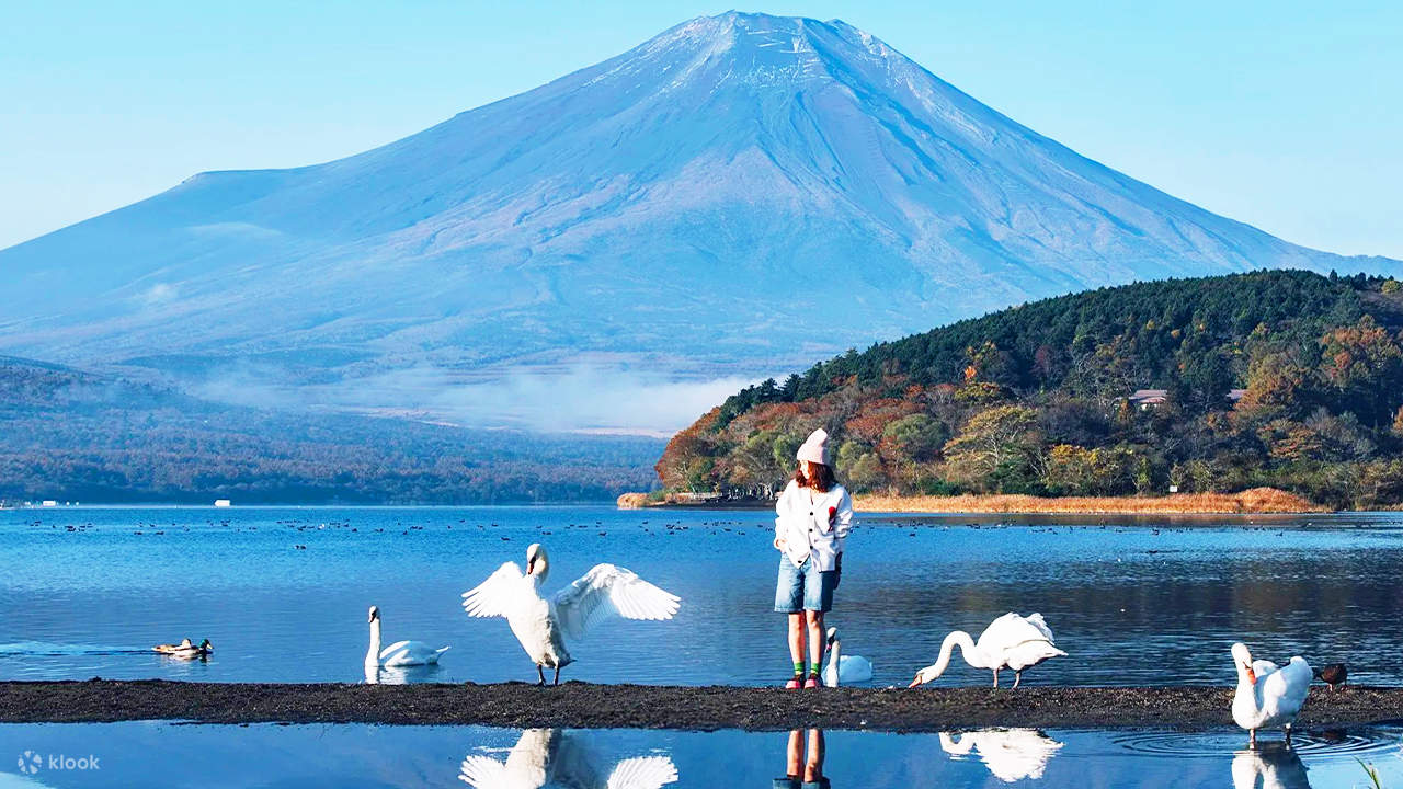 Mount Fuji Lake Yamanaka KABA Amphibious Bus/Swan Boat & Hirano Beach ...