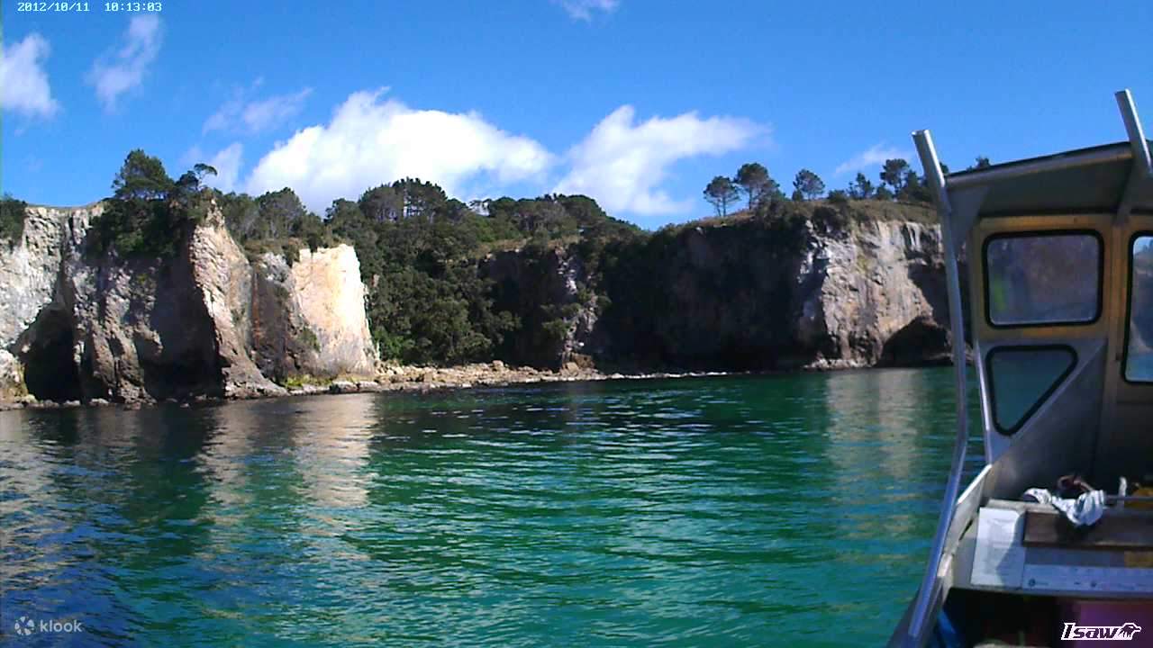 Explore the Stunning Underwater World with a Half-Day Dive Trip in ...