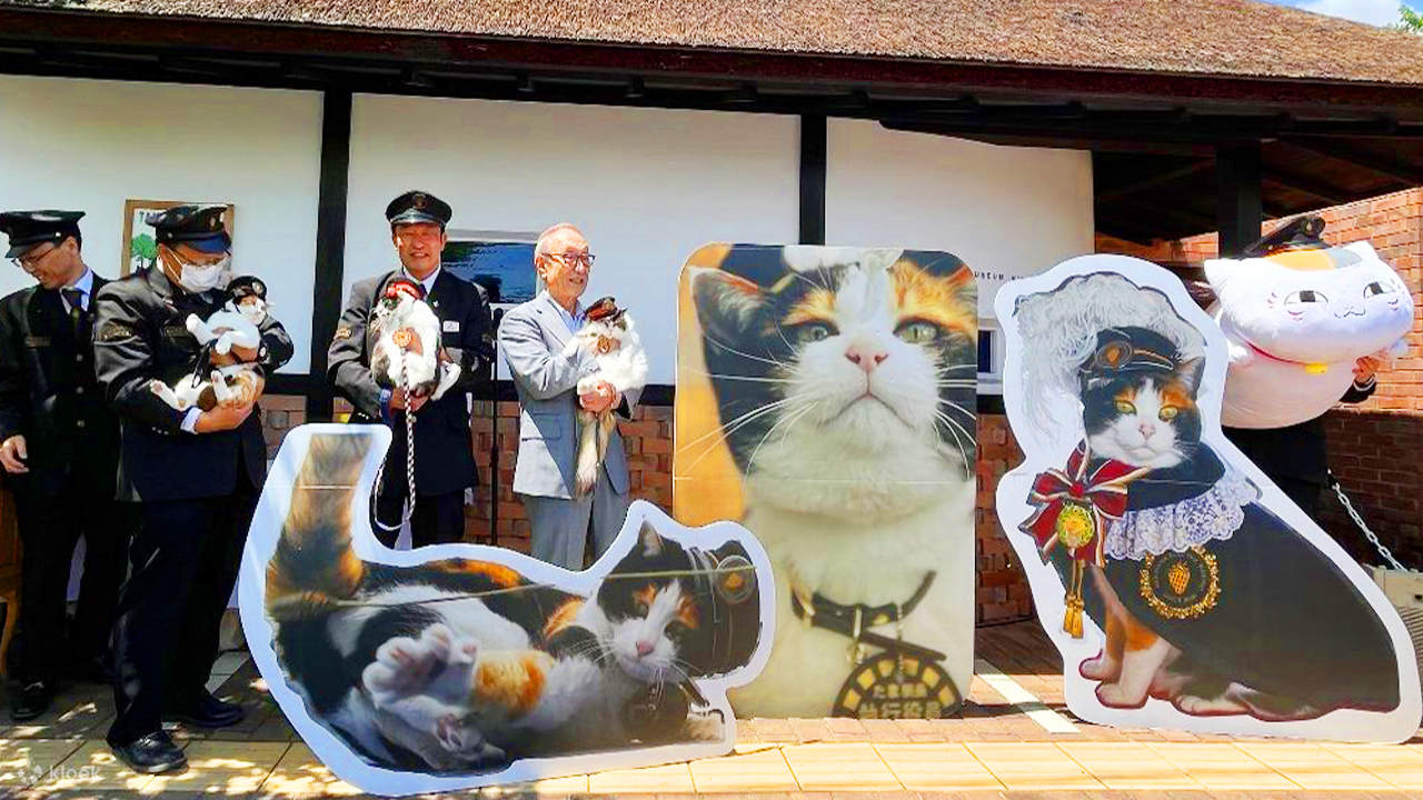 Wakayama Cat Stationmaster Kishi Station Train Experience & Kuroshio ...