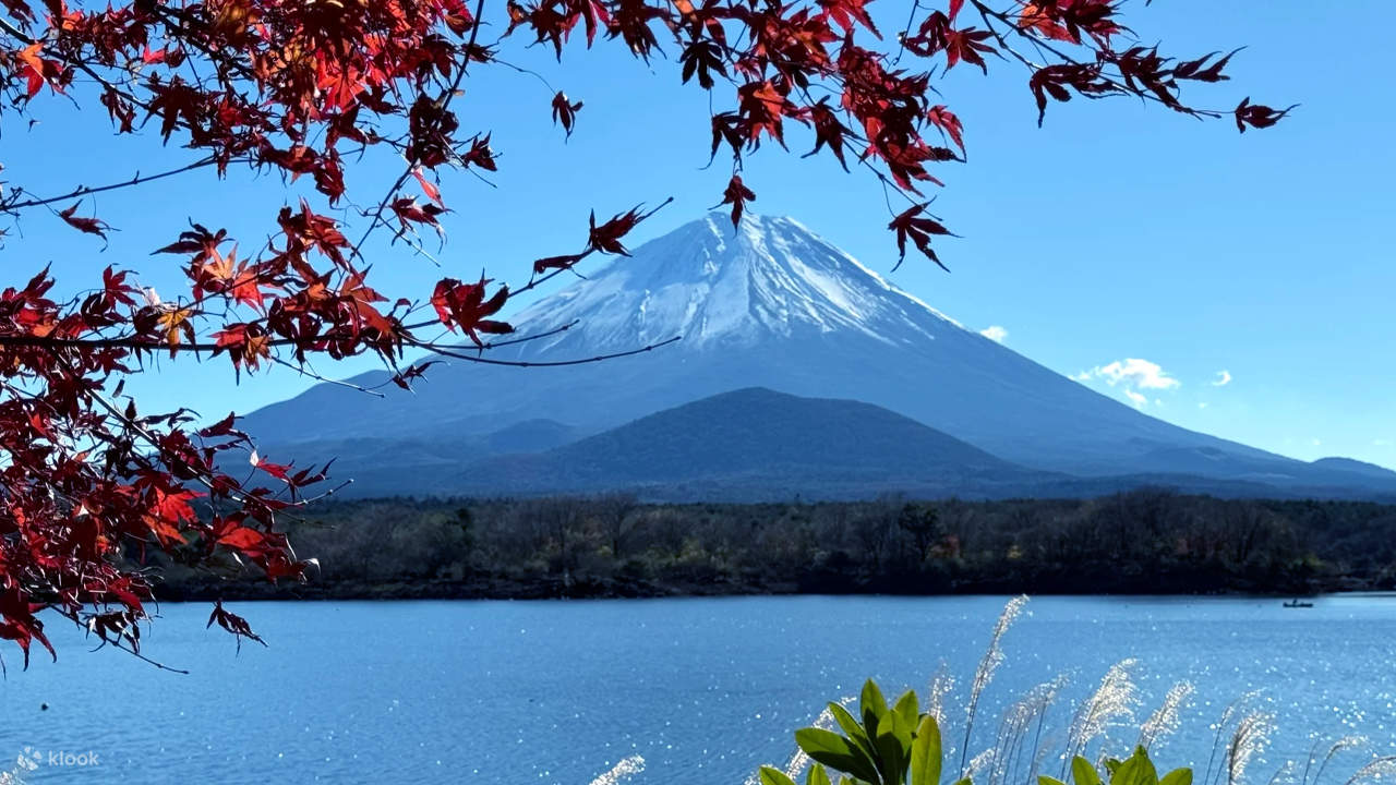 【Three Lakes of Mt. Fuji Check-in Tour】Kawaguchiko & Yamanakako ...