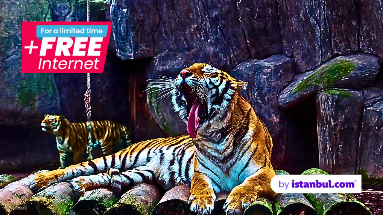 Lion Park Istanbul Zoo Ticket - Klook