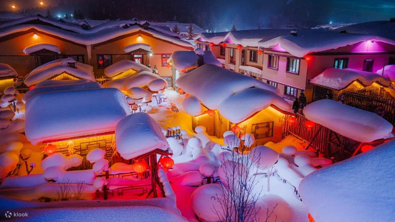 5 days and 4 nights charter in Haya Snow - Klook Canada