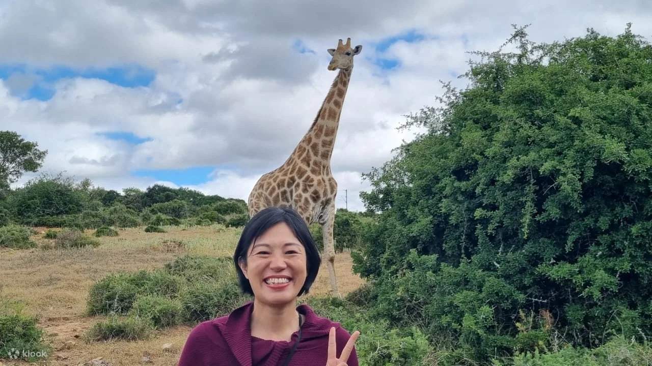 Safari Jalan Kaki Jerapah & Taman Addo Sehari Penuh - Klook Indonesia