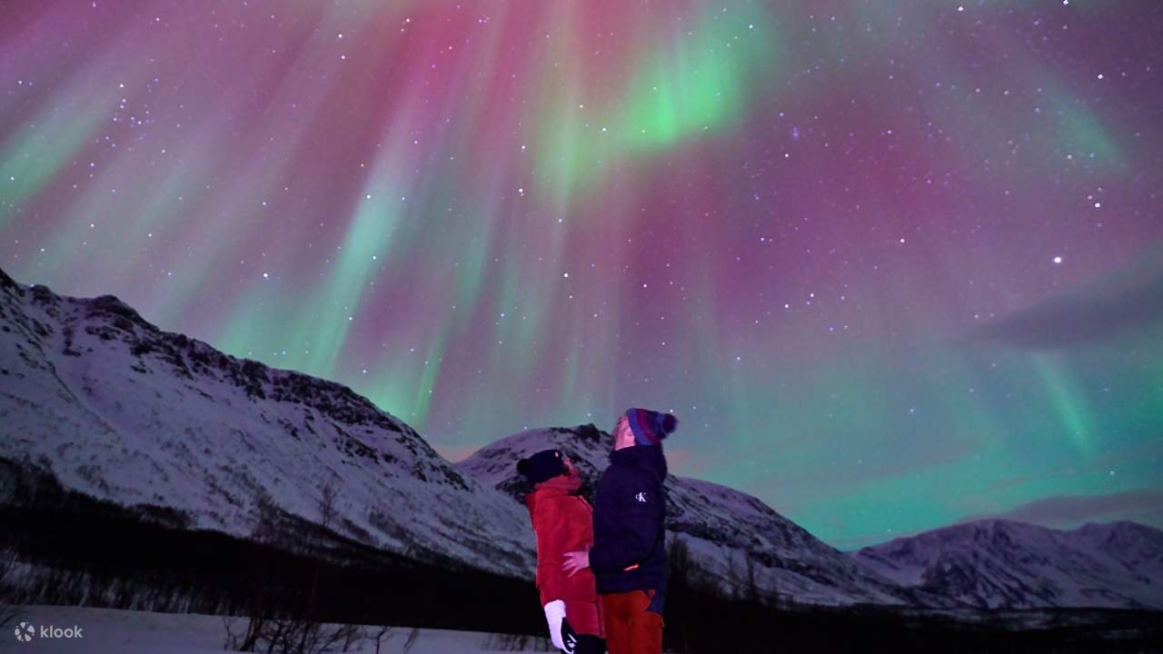 Aurora Northern lights Chase 8 Hours Tour (5 People MAX) + photos - Klook