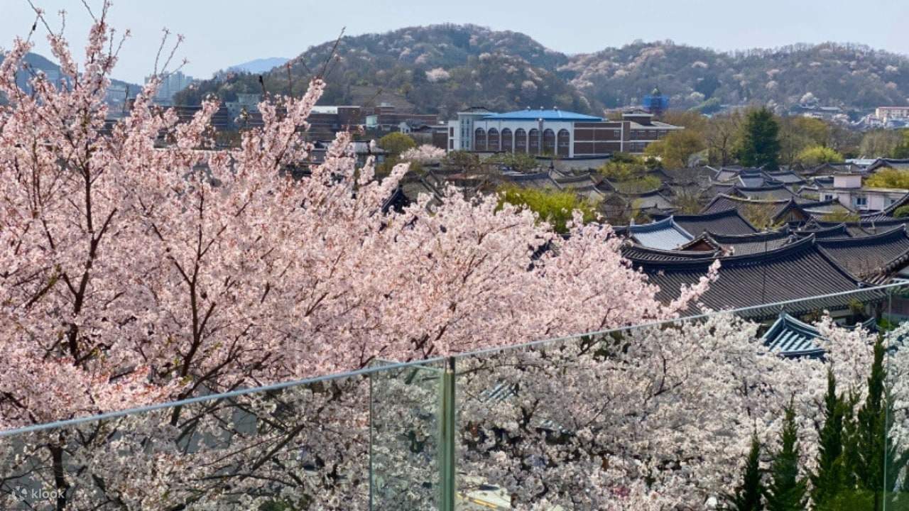 Jeonju Day Tour (From Seoul) - Klook United States