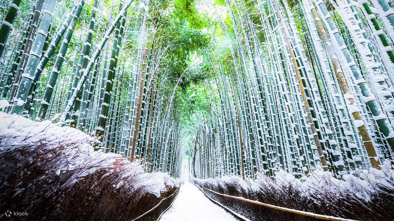 Miyama Thatched Village & Katsuoji Temple & Arashiyama Bamboo Forest ...