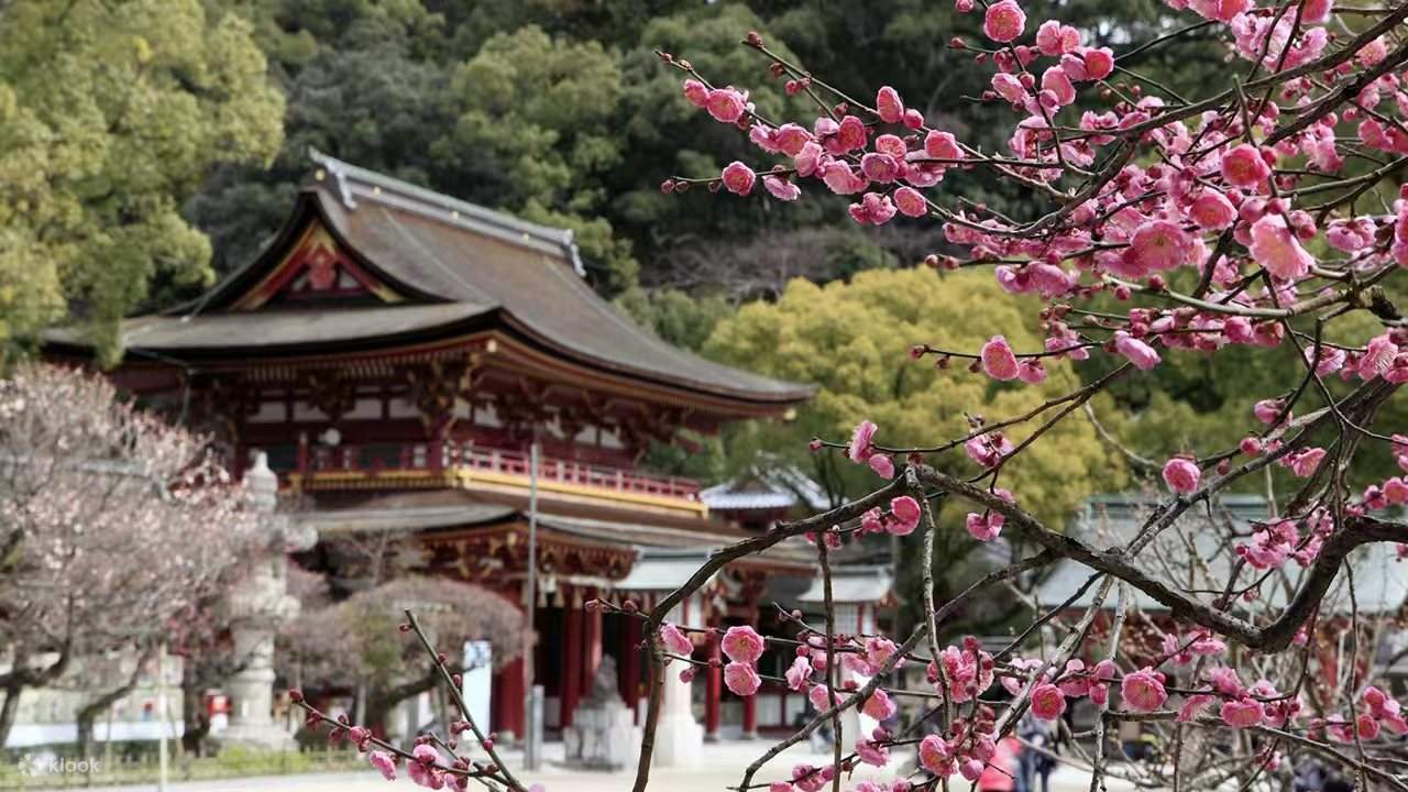 Fukuoka Car Rental with Driver to Fukuoka/Kumamoto/Beppu - Klook Australia