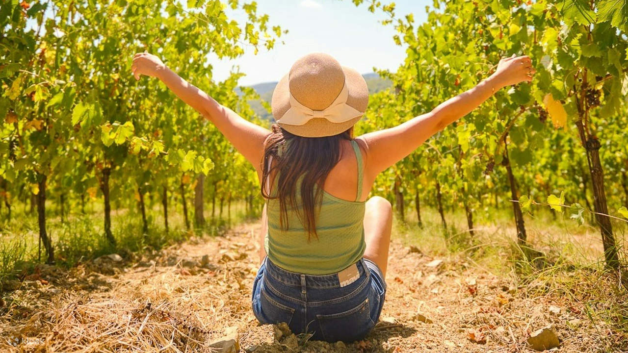 Chianti Vineyards half day tour with wine tasting from Florence - Klook ...
