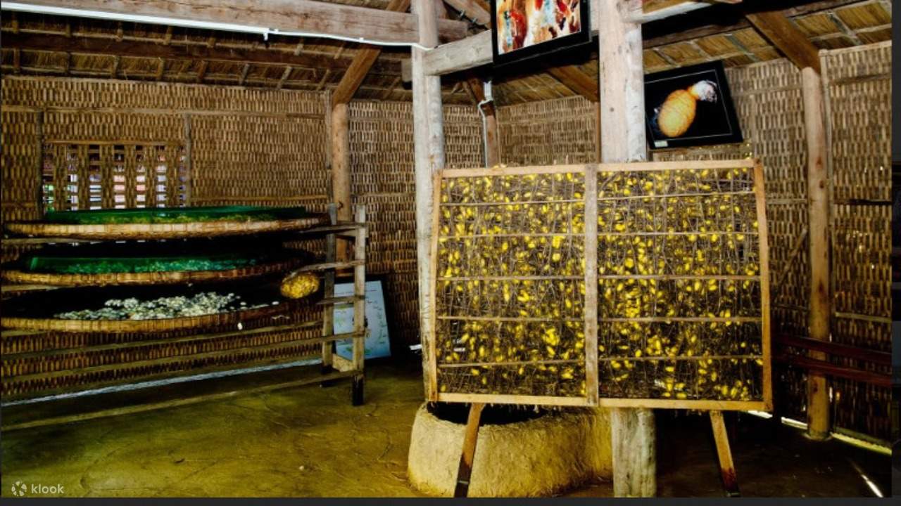 Hoi An Silk Farming Tour, Vietnam - Klook
