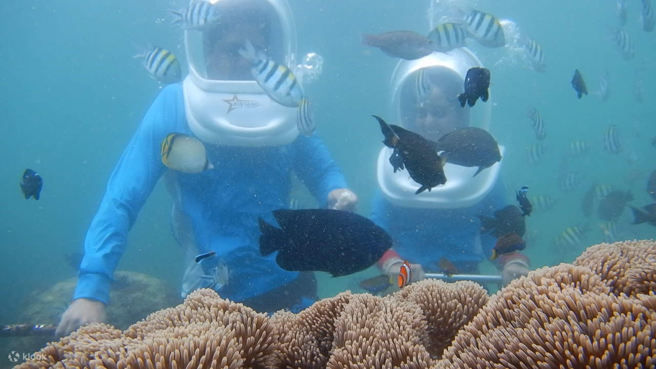 Bali Seawalker And Watersports Tanjung Benoa in Bali - Klook Australia