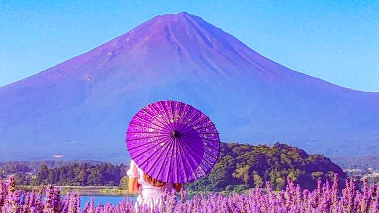 Mt Fuji Top 5 Spots Day Tour: Arakurayama Park,Kawaguchiko Lake - Klook ...
