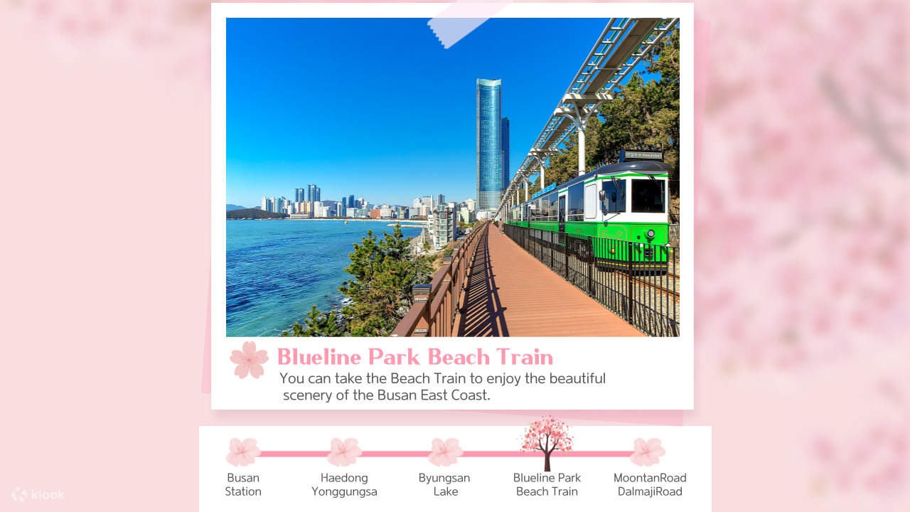 Busan Secret Cherry blossom Tour - Klook Amerika Syarikat