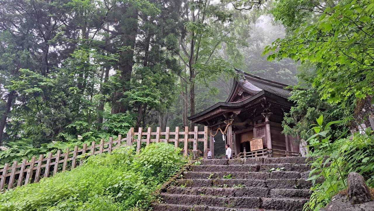 Togakushi Tour: Hands-on Soba Noodles,Ninja Village,Hidden Shrine ...