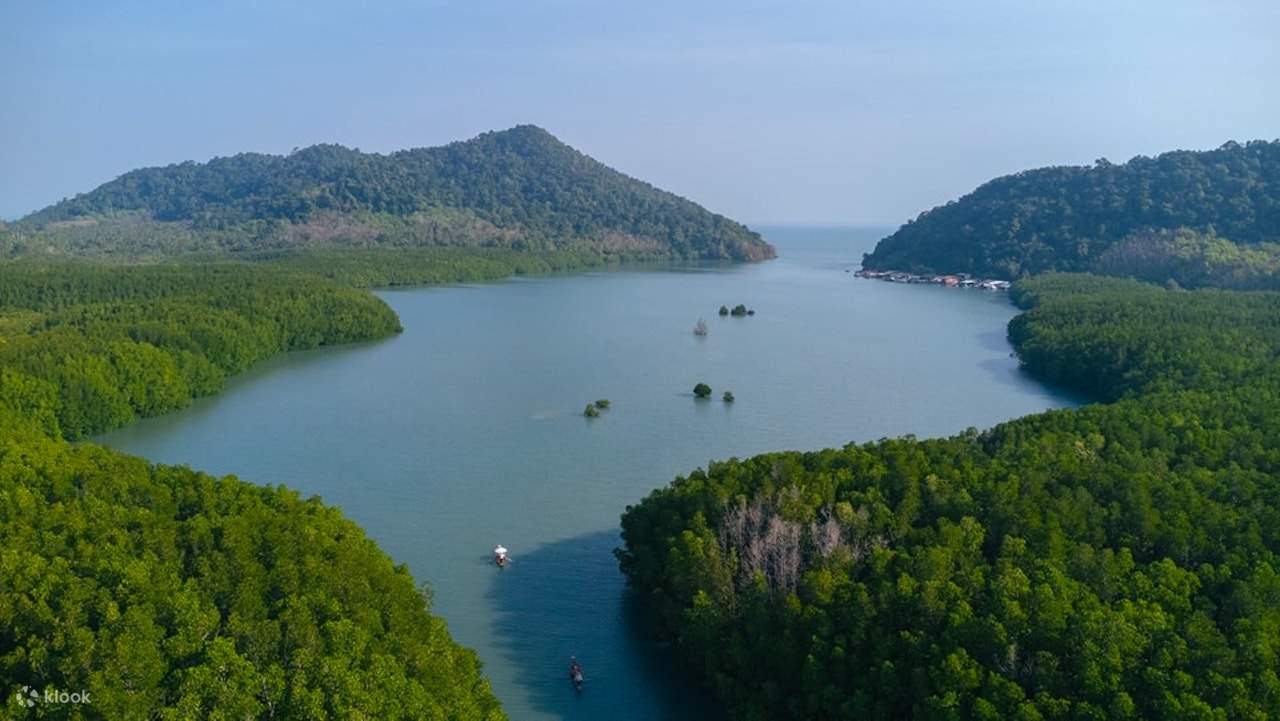 Koh Chang: Mangrove Forest Gondola Tour - Klook United States
