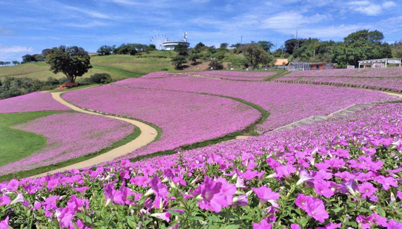 Chiba: Seaside Park & Ranch 1 Day Tour (Depart from Shinjuku) - Klook ...