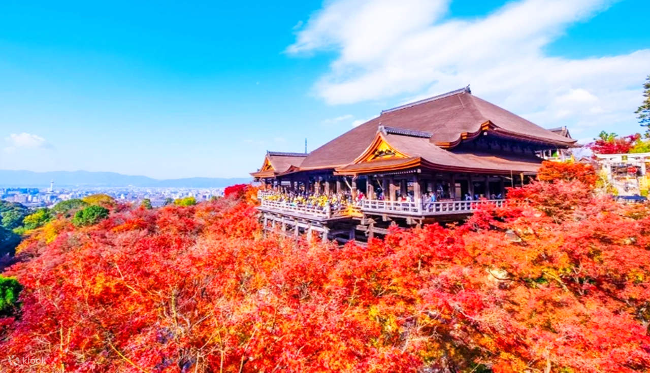 Kinkakuji Temple & Kiyomizu Temple & Fushimi Inari Taisha Kyoto One-day ...