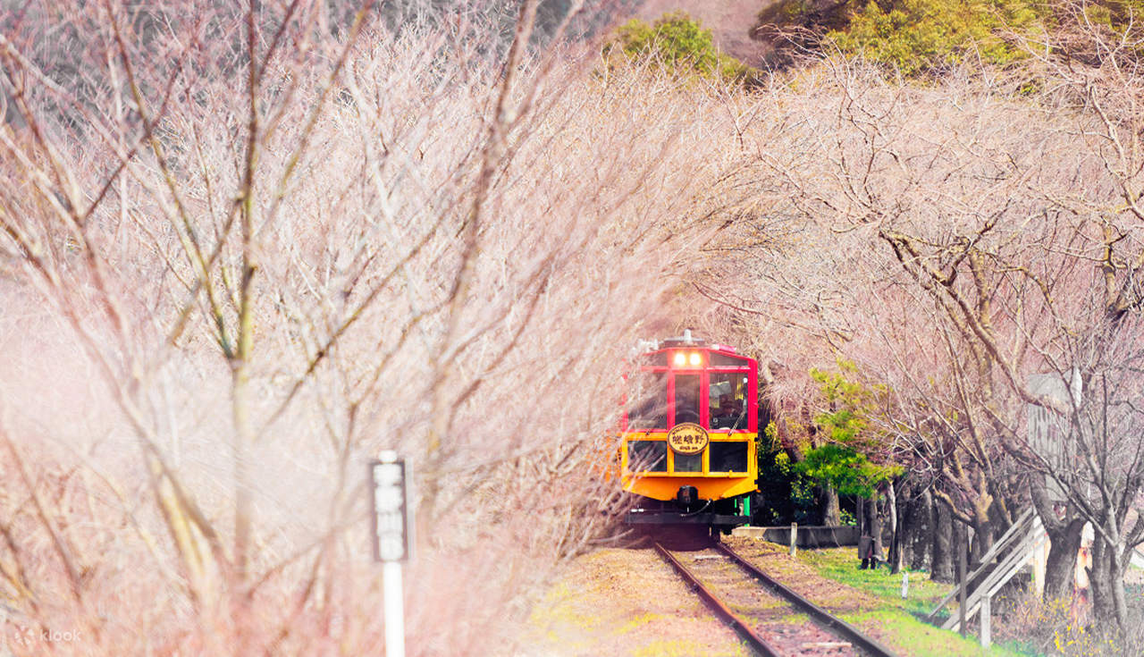 Kyoto Sanzen-in Temple & Arashiyama Train & Sagano Bamboo Forest Trail ...