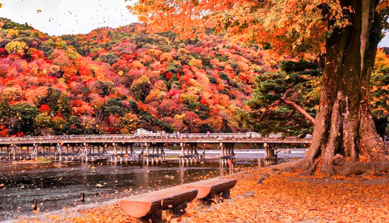 Kyoto Sanzen-in Temple & Arashiyama Train & Sagano Bamboo Forest Trail ...