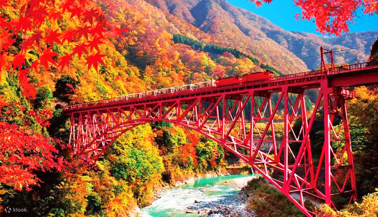 Kyoto Sanzen-in Temple & Arashiyama Train & Sagano Bamboo Forest Trail ...