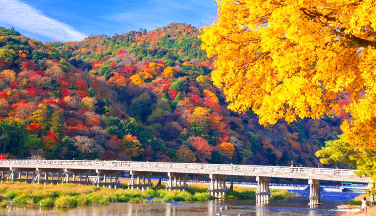 Kyoto Sanzen-in Temple & Arashiyama Train & Sagano Bamboo Forest Trail ...