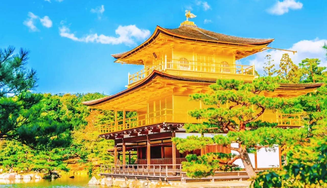 교토 일본식 금각사 And 기요미즈사찰 And 기모노 체험 And 야사카 신사 And 후시미 이나리 타이샤 신사 클룩 Klook 한국