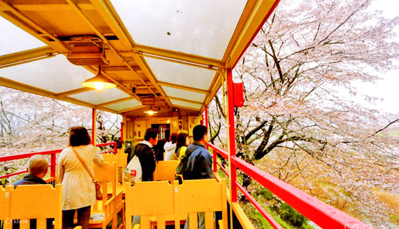 Kyoto Sanzen-in Temple & Arashiyama Train & Sagano Bamboo Forest Trail ...