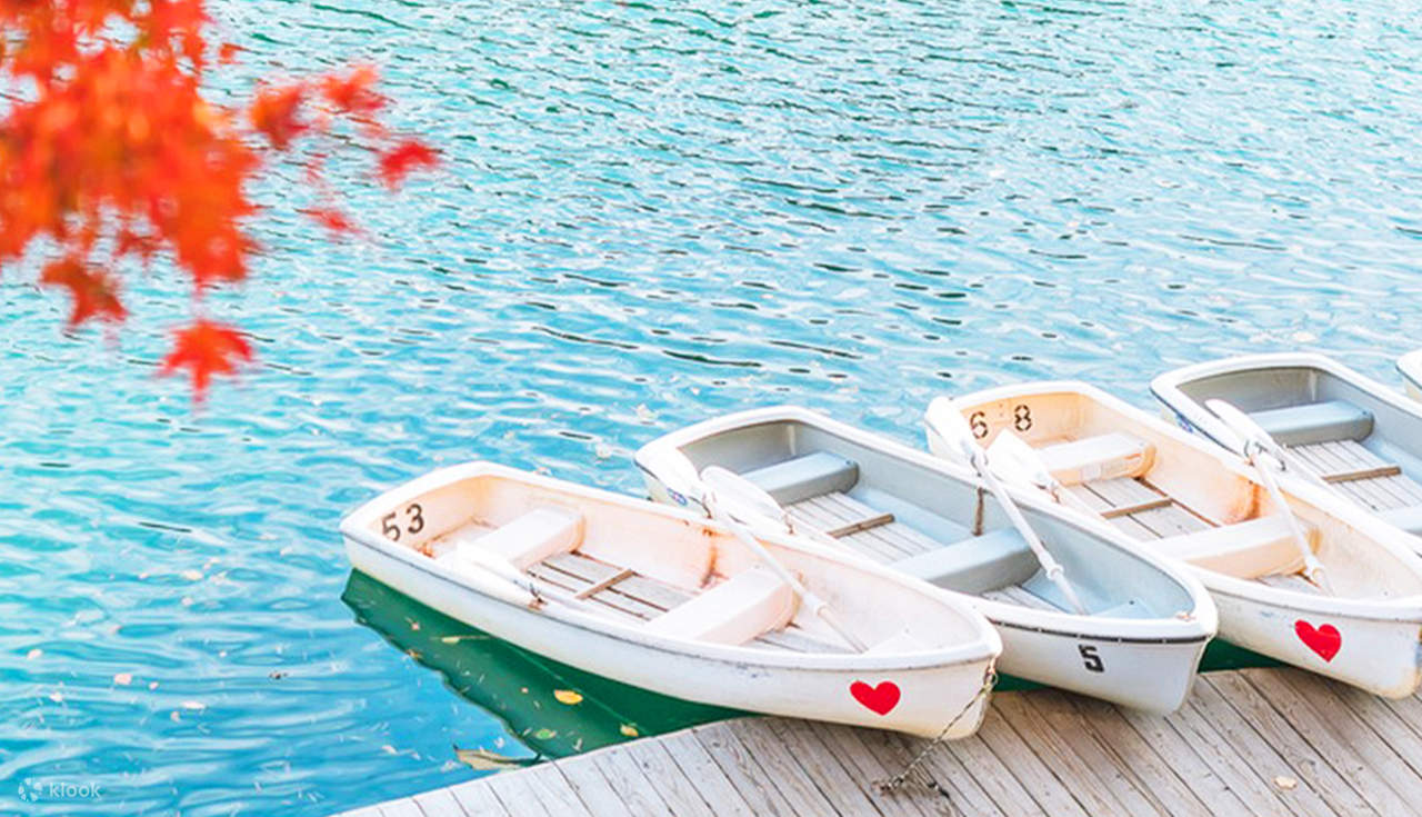 Kyoto Sanzen-in Temple & Arashiyama Train & Sagano Bamboo Forest Trail ...