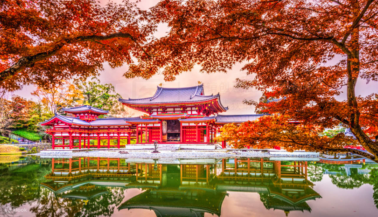 Nara Park & Todaiji Temple & Kasuga Taisha Shrine & Uji & Byodoin ...