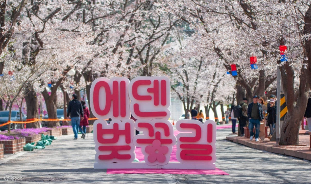 Gapyeong Eden Cherry Blossom Road Nami Island Rail Bike Day Tour ...