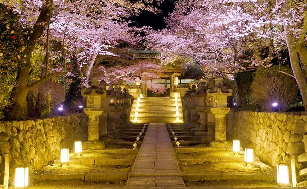 Cherry Blossom Season Only - Kansai Miho Museum/Omihachiman & Mitsui ...